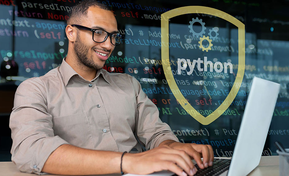 Online Python for Machine Learning & Data Science Course from Excelsior ...